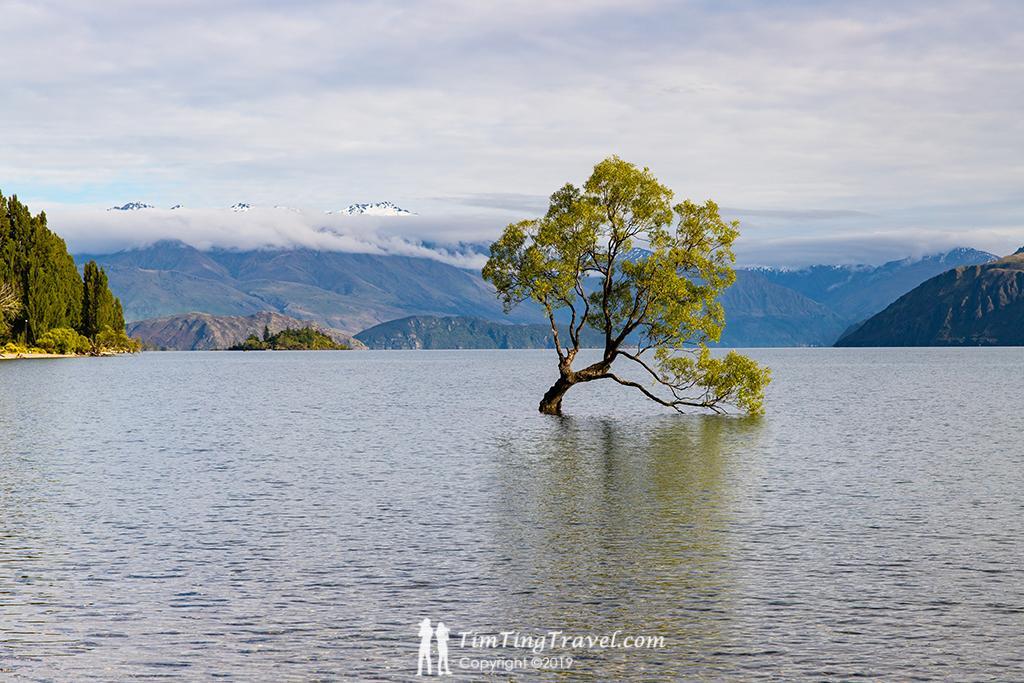 [2023] 瓦納卡 Wanaka 7大 必遊景點 & 5大推薦步道 | 最唯美度假天堂