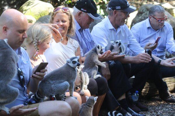 [2020] Hamilton 7大 必遊景點 | 北島最熱門活動都在這 - Tim Ting Travel