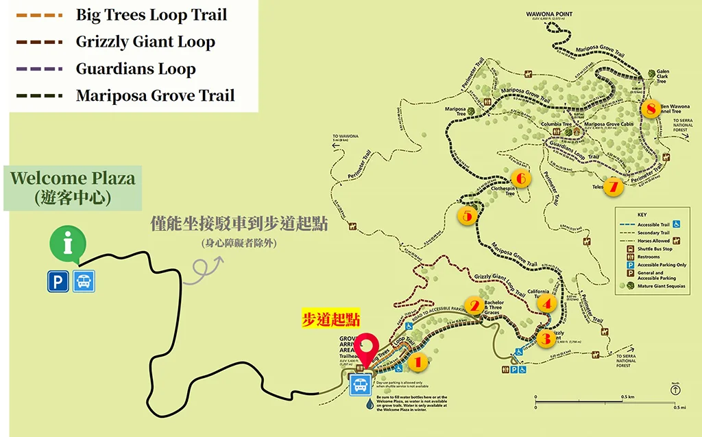 [2025] 優勝美地旅遊攻略 – Top 17 景點推薦 & Top 10 住宿推薦 - Tim Ting Travel