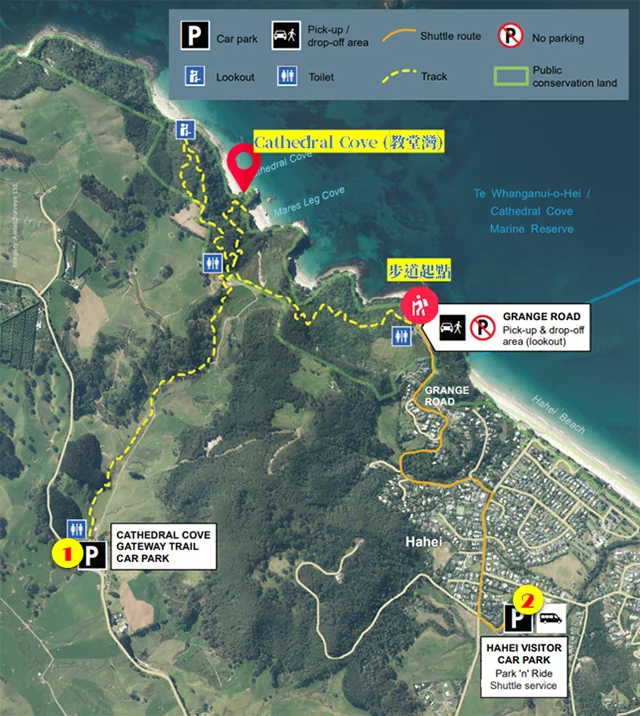 [2025] Cathedral Cove (教堂灣) : Coromandel 半島 Top 5 景點推薦 - TimTingTravel